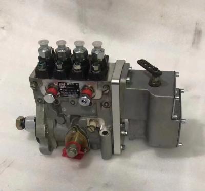 China 5336065 Motor Diesel engine fuel injection pump for sale