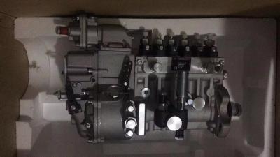 China 612601080746 BP12064 longbeng fuel injection pump for weichai wd10g240e21 for sale