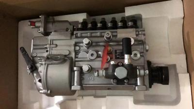 China CB6TH953 VG1096080160 Sinotruck engine part, diesel Fuel injection Pump  for WD615.96E for sale