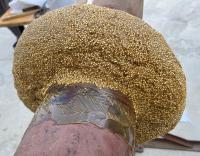 China Heavy Duty Petrolatum Mastic PETRO Putty Sealant Paste for sale