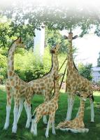 China Simulation Fiberglass Life Size Giraffe Sculpture Statues For Outside Landscape for sale
