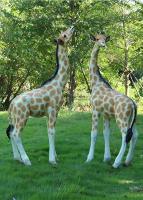 China Simulation Fiberglass Life Size Giraffe Sculpture Statues For Outside Landscape for sale