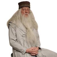 China 1:1 Celebrity Wax Figure Custom Dumbledore Silicone Human Wax Sculpture for sale