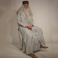 China 1:1 Celebrity Wax Figure Custom Dumbledore Silicone Human Wax Sculpture for sale