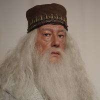 China 1:1 Celebrity Wax Figure Custom Dumbledore Silicone Human Wax Sculpture for sale