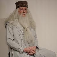China 1:1 Celebrity Wax Figure Custom Dumbledore Silicone Human Wax Sculpture for sale