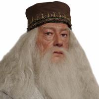 China 1:1 Celebrity Wax Figure Custom Dumbledore Silicone Human Wax Sculpture for sale