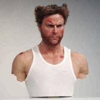 China Collection Movie Character Wolverine Silicone Half Bust  Sculpture Wax Statue for sale