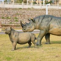 China OEM Outdoor Resin Animal Sculpture / Fiberglass Lifelike Rhinoceros Statues for sale