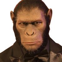 China Celebrity Caesar Star Silicone Sculpture Wax Statues Customized for sale