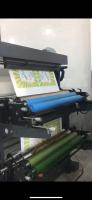 China 4 Color Automatic Flexo Printing Machine For Packing Bag for sale