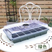 China Customized Plastic Injection Molding Parts for Seedling box for sale