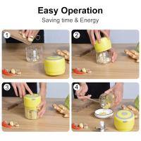 China Kitchen Food Chopper Electric Mini USB Charging Vegetable Food Processor for sale