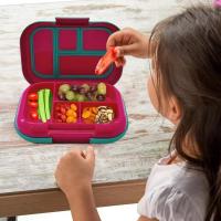 China Bento Box for Kids 4-Compartment Leakproof Lunch Container 3.33 Cups BPA-Free for sale