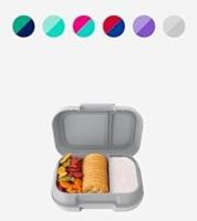 China Bento Box for Kids 4-Compartment Leakproof Lunch Container 3.33 Cups BPA-Free for sale