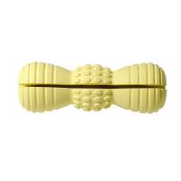China Wholesale TPR Dog Chew Toys Barbell Design Squeaky Balls 7.22 Inch Orange Green Blue for sale