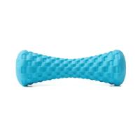 China Wholesale TPR Dog Chew Toys Barbell Design Squeaky Balls 7.22 Inch Orange Green Blue for sale