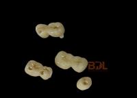 China Pure Titanium Grade 5 Dental Implant Bar Featuring 3 To 4 Months Osseointegration Speed for sale