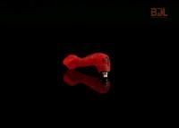 China 3 Days Turnaround Time Dental Implant Bar Supports Overdentures And Fixed Prostheses for sale