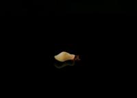 China High strength Ceramic Dentures designed for cosmetic smile enhancement implant supported crowns and bridgework applications for sale