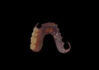 China No Metal Showing Hypoallergenic Flexible Partial Denture with 3-Day Turnaround for Comfortable Dental Restoration for sale
