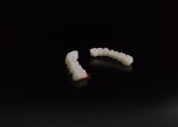 China Customizable Ceramic Dental Prostheses Tailored to Meet Specific Dental Restoration Requirements and Patient Preferences for sale
