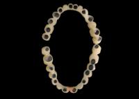 China Precision Engineered Porcelain Fused To Metal Crown Offering Strong Support And Natural Look For Dental Applications for sale
