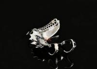 China Customizable Metal Framework Partial Dentures ensuring precise fit and enhanced patient comfort for dental professionals for sale