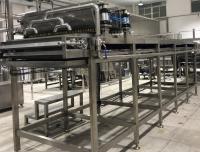 China Automatic Boba Juice Production Line High Capacity Crystal Pearl Making Machine 500KG/H for sale