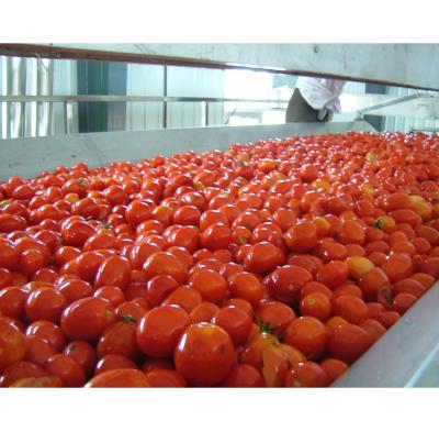 China Tomato Paste Production Line The Ultimate Solution for Smooth and Production for sale