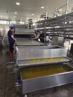 China Boba Making Machine offering tapioca pearl production for bubble tea shops and beverage manufacturers with user-friendly controls for sale