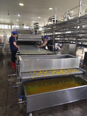 China Boba Making Machine offering tapioca pearl production for bubble tea shops and beverage manufacturers with user-friendly controls for sale
