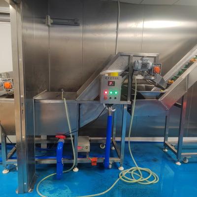 China Industrial Usage mango processing line constructed from Food Grade SS304 Stainless Steel featuring 12 Months Warrantyperiod ideal for mango production for sale