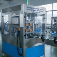 China Servo Driven Energy Saving PETG Blow Molding Machine 1L Bottle MP55D for sale
