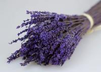 China 50cm 60cm Preserved Fresh Flower Dry Lavender Bunches OEM for sale