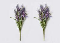 China 50cm 60cm Preserved Fresh Flower Dry Lavender Bunches OEM for sale