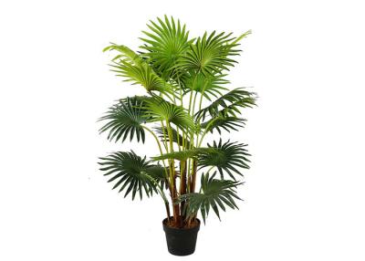 China Entrance Hall Silk Plastic PE Indoor Artificial Palm Trees for sale