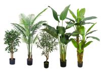 China Entrance Hall Silk Plastic PE Indoor Artificial Palm Trees for sale