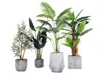 China Entrance Hall Silk Plastic PE Indoor Artificial Palm Trees for sale