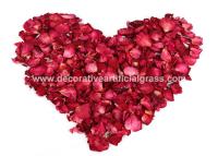 China 100% Natural Drying Rose Petals For Confetti 20g 50g 100g for sale