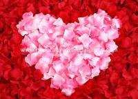 China OEM ODM Silk Fabric Synthetic Artificial Rose Petals For Decoration for sale