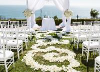 China 3000Pcs Silk Flowers Petals Wedding Decoration Silk Flowers Petals for sale