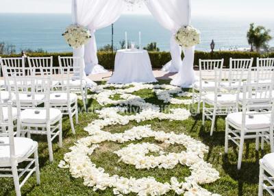 China 3000Pcs Silk Flowers Petals Wedding Decoration Silk Flowers Petals for sale