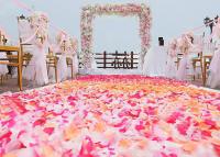 China BSCI Silk Cloth Realistic Silk Bulk Rose Petals For Weddings for sale