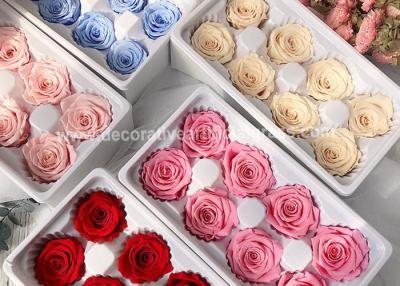 China 60+ Colors Forever Artificial Silk Roses Box 8pcs/box 12pcs/Box for sale