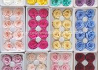 China 60+ Colors Forever Artificial Silk Roses Box 8pcs/box 12pcs/Box for sale