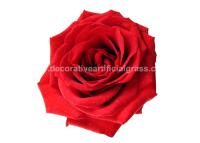 China OEM ODM 60+ Colors Real Preserved Roses For Valentine'S Day for sale
