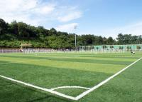 China FIFA Standard Artificial Grass Turf For Sports Fields Gauge 3/16 Inch 3/8inch 3/4inch for sale
