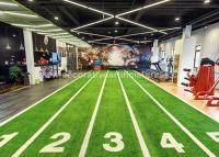 China PE PP Artificial Gym Grass Turf Workout 30*30cm 30*50cm 50*50cm for sale