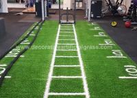 China Latex Backing Artificial Indoor Grass Carpet For Gym OEM ODM for sale